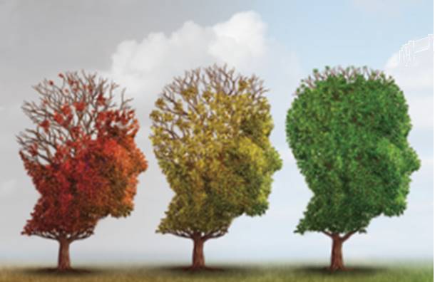 How bias impacts our decisions – PROPERTY INVESTMENT FOR SMART PEOPLE How bias impacts our decisions – PROPERTY INVESTMENT FOR SMART PEOPLE